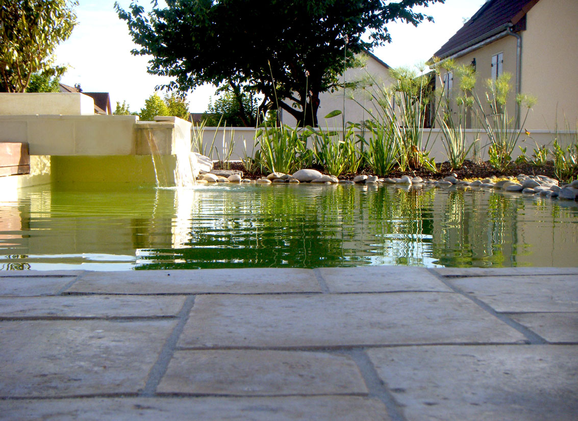 Bassin d'eau et piscine pour le baignade naturelle et écologique