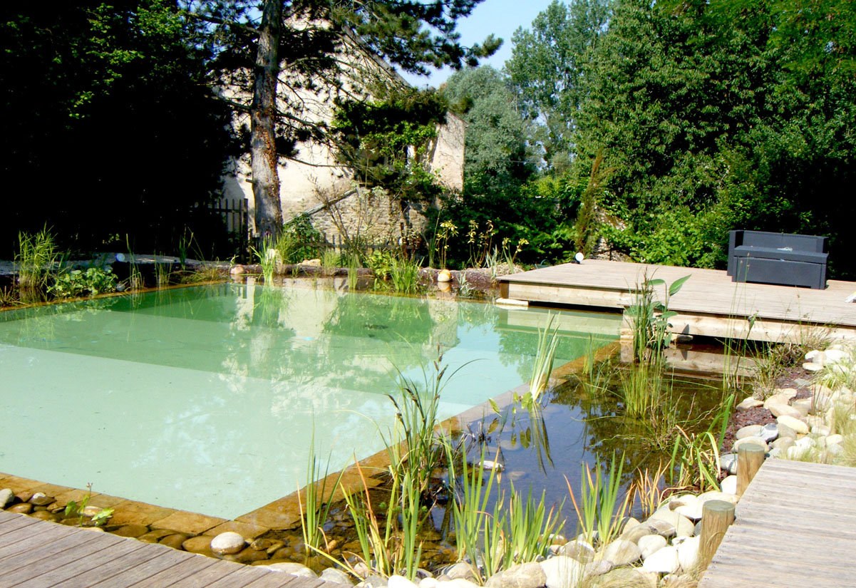 Bassin d'eau et piscine pour le baignade naturelle et écologique