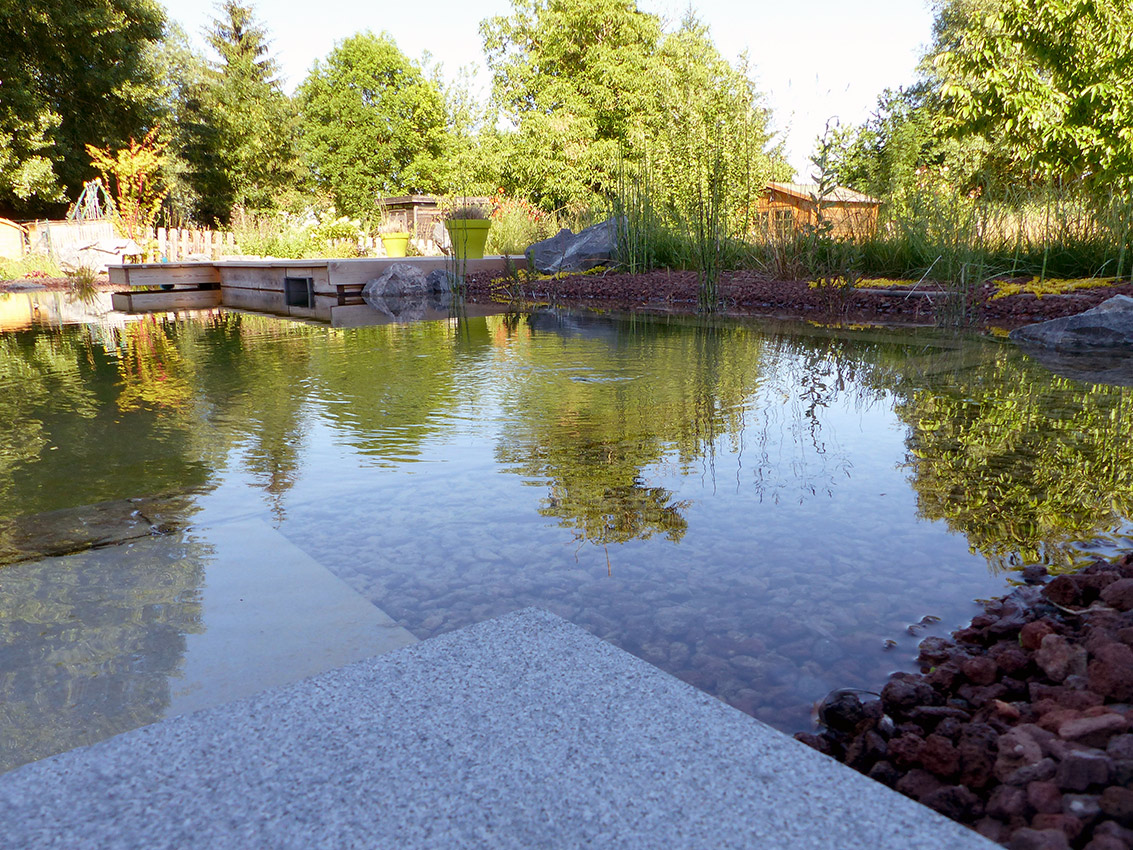 Bassin d'eau et piscine pour le baignade naturelle et écologique