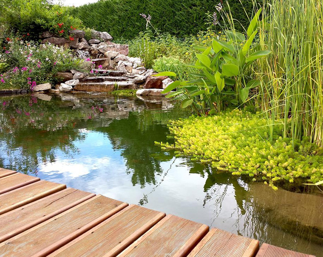 Création et aménagements de bassins, plan d'eau, cascades d'eau, lac et ...